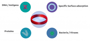 pathogen detection in food, water, dairy, agriculture & fermentation