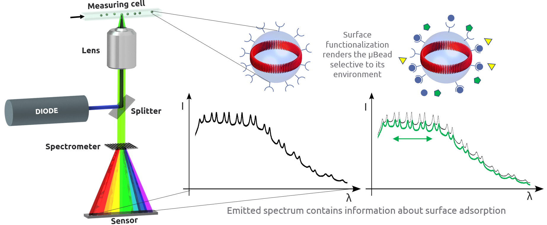 pathogen detection in food, water, dairy, agriculture & fermentation