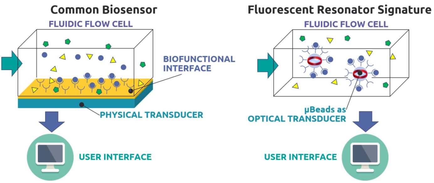 🚀 FluIDect at the Dresden Sensor Symposium 2024! 🚀 - FluIDect Landing
